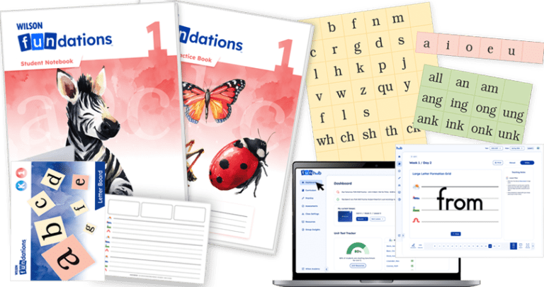 Bundles - Wilson Language Training